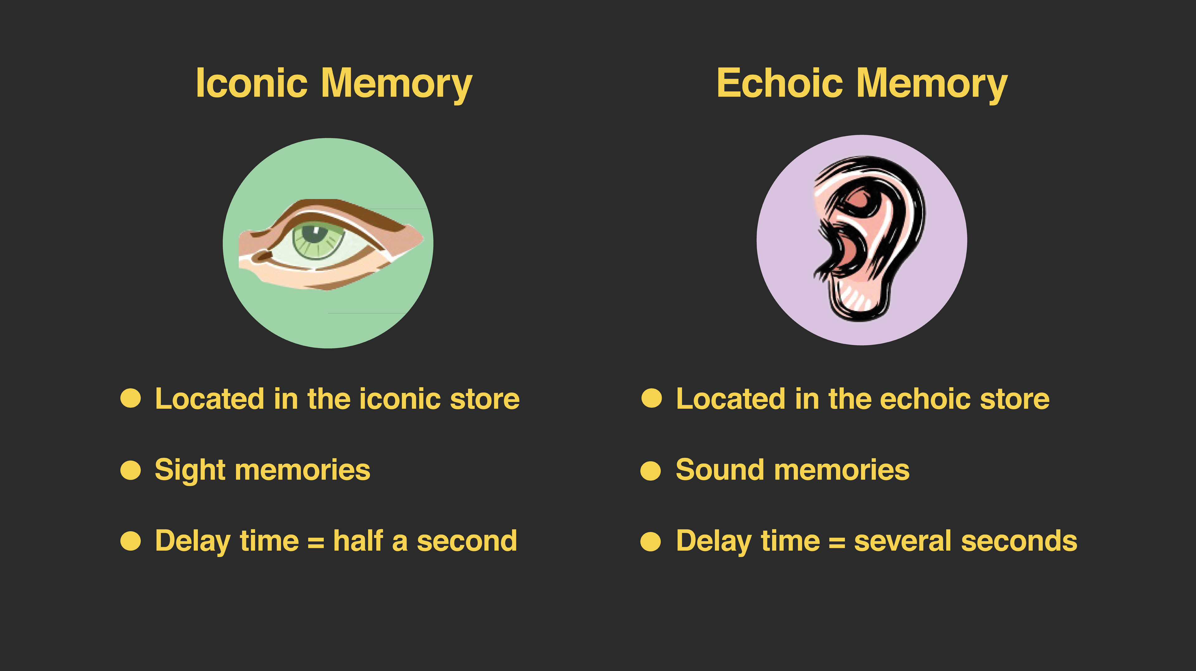 Echoic Memory